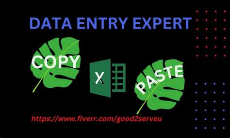 do accurate data entry typing work copy paste data collection by