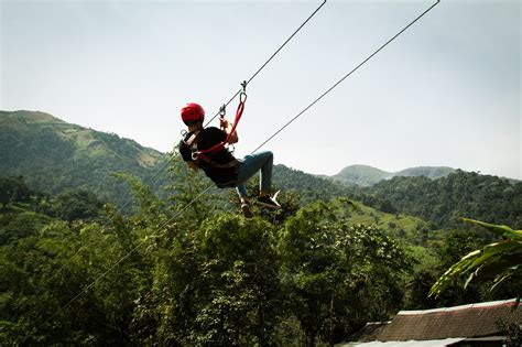 Zip Line Extreme Sport Canopy Free Photo On Pixabay