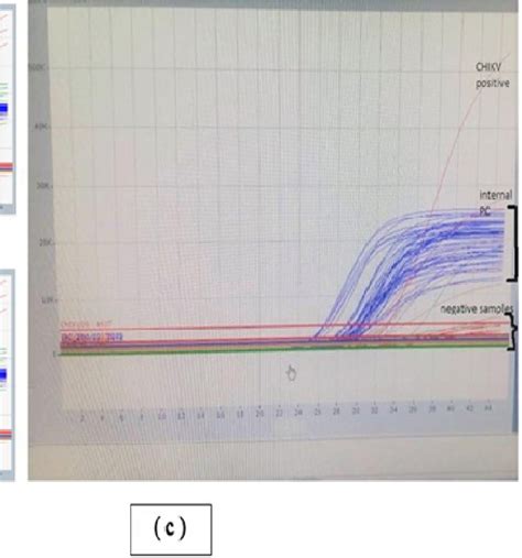 a the amplification plot of multiplex real represents a specific