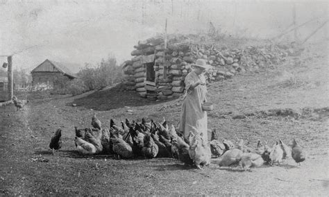 Furrow And Fly Hand To Hand — Montana Woman