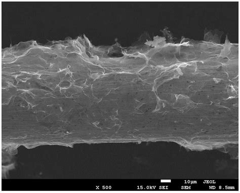 Preparation Method For A Porous Graphene Microelectrode And Applications Eureka Patsnap