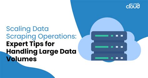 expert guide to large scale web scraping and data handling