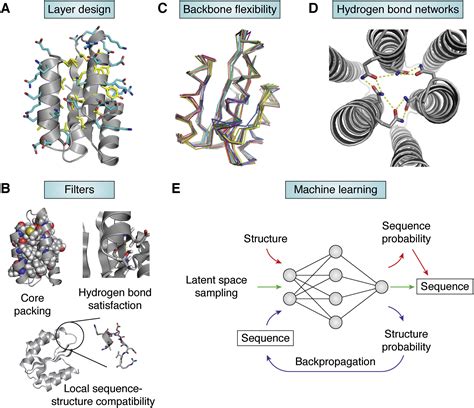 De Novo Design Design Talk