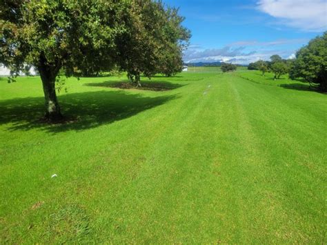 Hardus Coetzee Posted On Linkedin