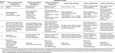Description Of Project Assignments Download Scientific Diagram
