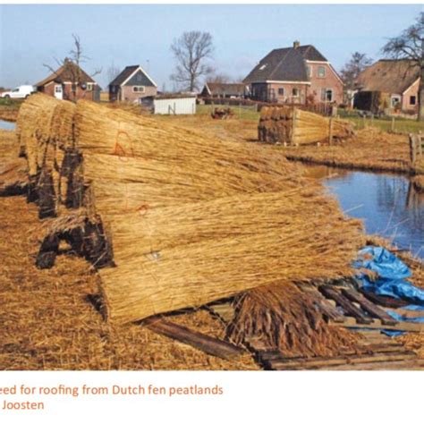 An Illustration Of The Environmental And Social Effects Of Peatland Download Scientific Diagram