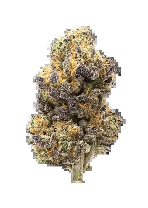 Push Pop Cannabis Strain Information Growdiaries