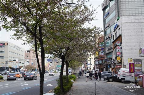 폐업x 서울대입구 고기 With 와인 분위기 있는 고기집 낙성푸줏간에서 Feat 블랙 앵거스 소고기 프라임 등급 네이버 블로그
