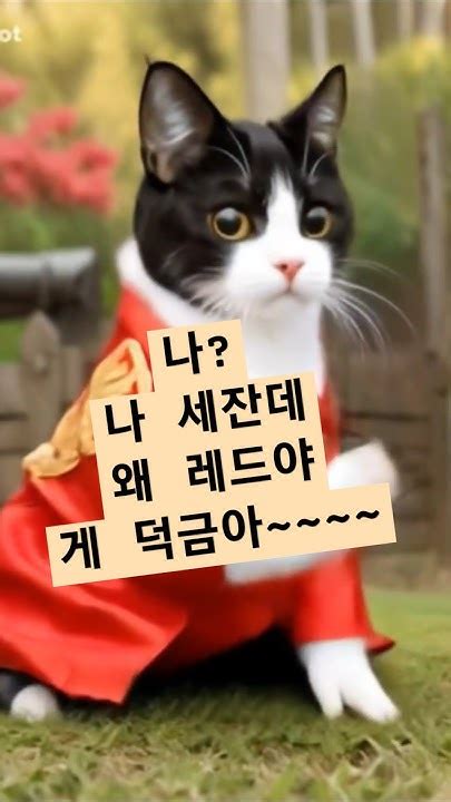 제가 쫌 냥이들을 사람같이봐요ㅋㅋㅋ Shorts 웃긴고양이영상 웃긴고양이짤 Cutecat 춤추는고양이 Ai영상만들기 개그냥 Youtube
