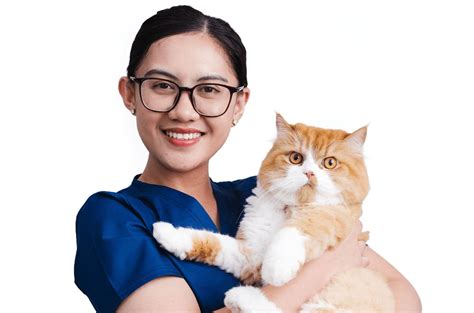 Hypothyroidism In Cats Symptoms Causes And Treatment