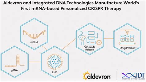 News Breaking First Personalised Mrna Crispr Therapy Delivered In Six