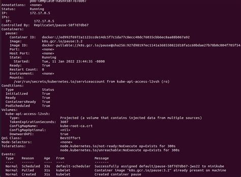 Installation Of Scheduler Plugin As A Second Scheduler Not Working