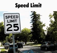 Speeding S Tenor