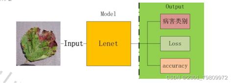 基于深度学习的苹果树叶病害图像识别树叶识别论文 Csdn博客