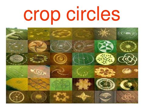 Crop Circlesword文档在线阅读与下载无忧文档