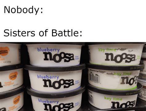 Mantisirl Rhollowknightmemes