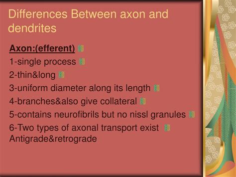 PPT Differences Between Axon And Dendrites PowerPoint Presentation Free Download ID