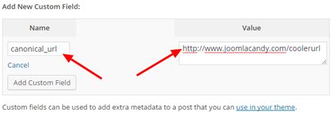 add canonical tag to wordpress posts via custom fields