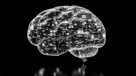 A Digital Brain S Neural Pathways Are Flooded With Binary Code Illustrating The Information