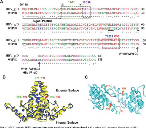 Figure 1 From Constrained Evolution Of Overlapping Genes In Viral Host Adaptation Acquisition