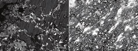 Scanning Electron Micrographs Of Steel Side Fracture Surface Of Liquid Download Scientific