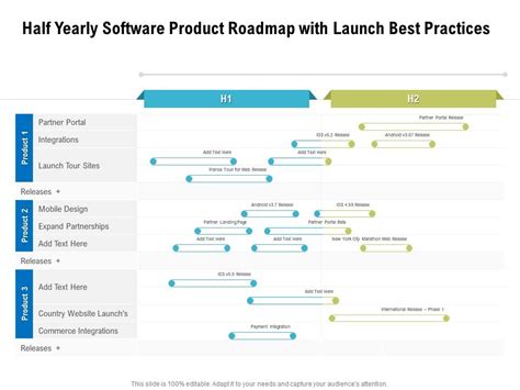 half yearly software product roadmap with launch best practices