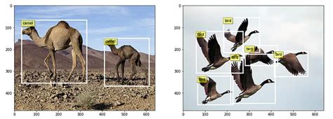 k 04 [code1 torch] faster r cnn deep learning bible 4 object detection 한글