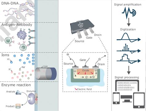 Illustration Of A Biological And Chemical Fet Sensor Download