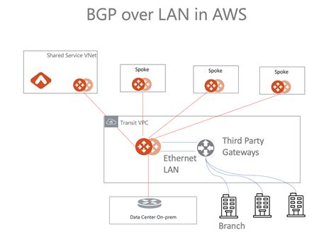 Transit Bgp Over Lan In Aws Workflow Documentation