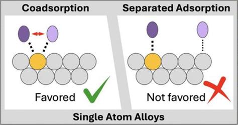 将分子聚集在一起：单原子合金掺杂位点的协同共吸附 Journal Of The American Chemical Society X Mol