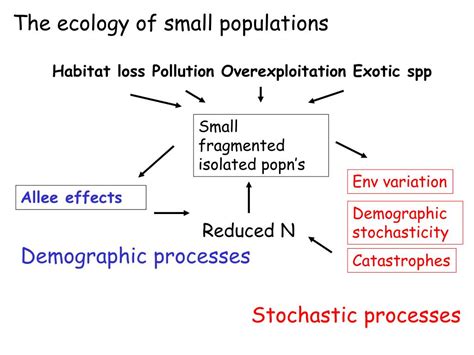 Ppt Population Growth Exponentialgeometric Stochasticity And
