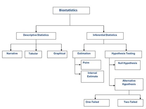 INTRO TO BIOSTATISTICS Flashcards Quizlet