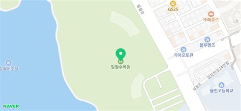 키우기 쉬운 식물 추천 플랜테리어 초보 식집사의 반려식물 소개 🪴🌿 네이버 블로그