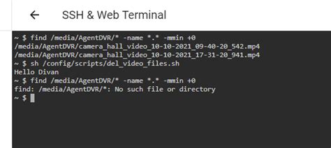 Shellcommand Wont Accept Templated Command Line Parameters · Issue 53178 · Home Assistant