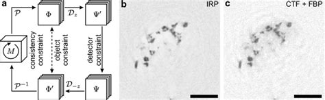 9 Combined Phase Retrieval And Tomographic Reconstruction A Sketch Of Download Scientific