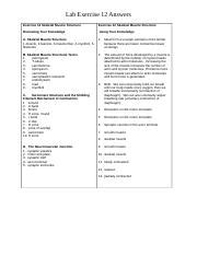 Exercise Lab Answers Docx Lab Exercise Answers Exercise Skeletal Muscle Structure