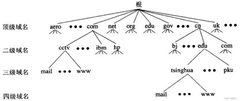 安全基础 Html基础标签 Dns工作原理html Dnsjs Csdn博客