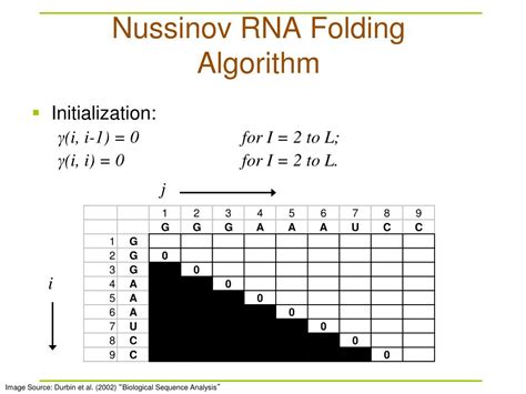 Ppt Rna Folding And Ncrna Discovery Powerpoint Presentation Free