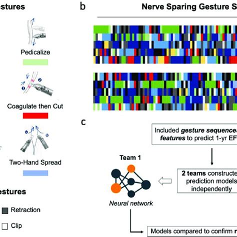 Dissection Gestures And The Study Design A Gesture Classification Download Scientific Diagram Dissection Gestures And The Study Design A Gesture Classification Download Scientific Diagram
