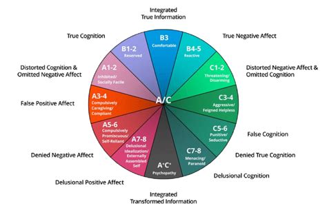 Crittendens Dynamic Maturational Model Of Attachment And Adaptation Download Scientific