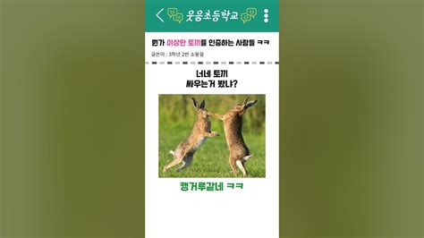 뭔가 이상한 토끼를 인증하는 사람들 ㅋㅋㅋ Youtube