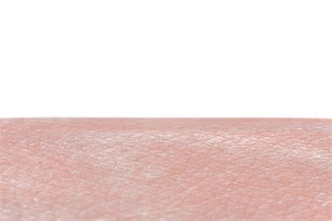 인간의 피부 고 흰색 바탕에 격리입니다 매크로 닫습니다 인간 피부에 대한 스톡 사진 및 기타 이미지 인간 피부 클로즈업