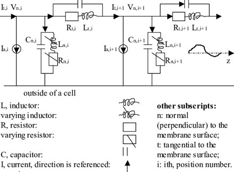An Equivalent Circuit Of A Neuron Membrane Patch In Our Neural Network Download Scientific