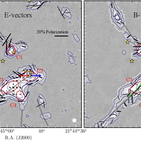 Polarization Vectors Left And Magnetic Field Vectors Right On 850 Download Scientific