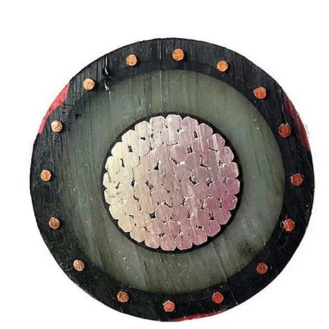 Polyolefin Insulated Crosslinked Galvanized Braiding Steel Shielded Polyolefin Jacket Tinned