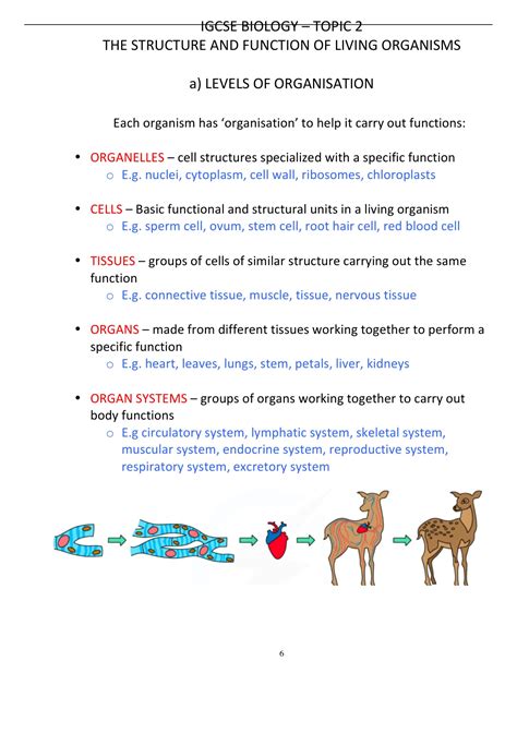 Summary Igcse Biology Pearson Edexcel Topic 2 Structure And Function Of Living Organisms
