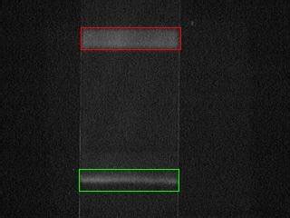 Views Of The Detection Areas Of The Strips As Seen By CCD Based Download Scientific Diagram