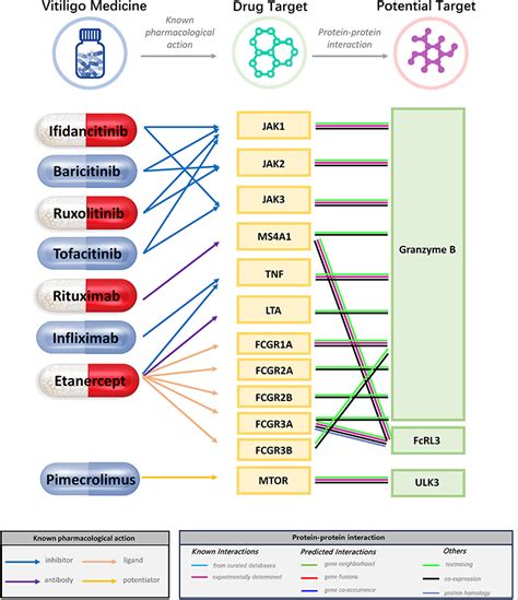 Evidence From A Comprehensive Bioinformatics Analysis Point To Possibl