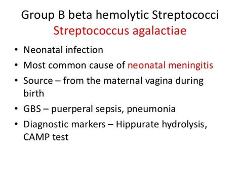 Streptococcus