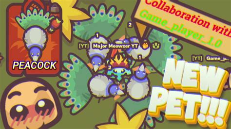 New Peacock Pet With Gameplayer10 Tamingio Iogames